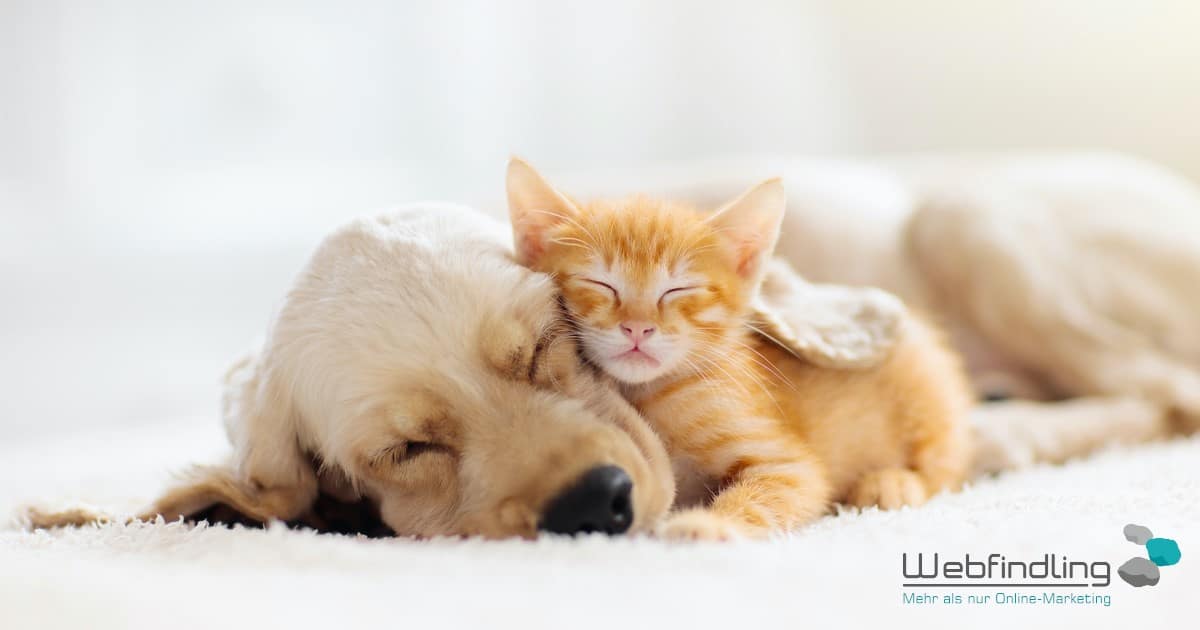 Cat-Content - Webfindling Marketing